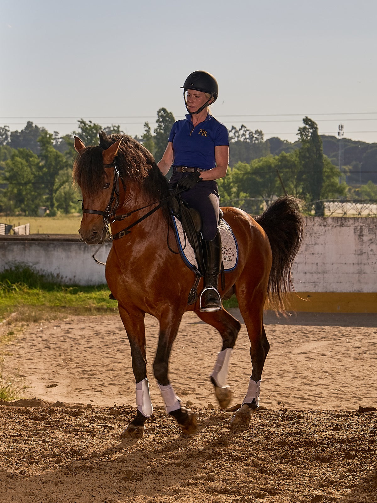 Rider Collection – FairlyRider AB